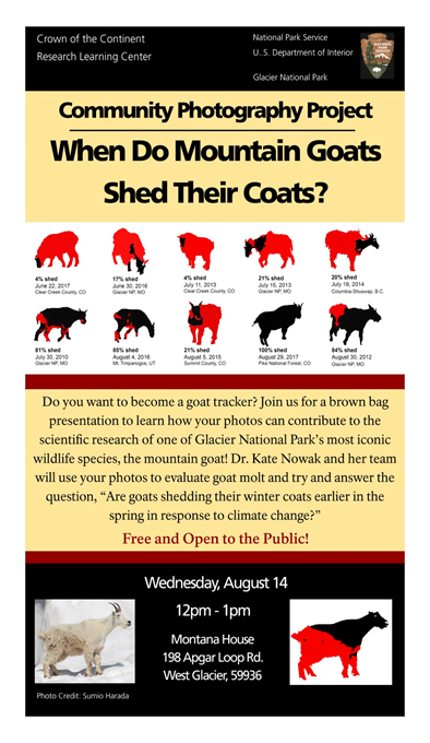 How to Get a Better Picture of Mountain Goats with Community Science ...